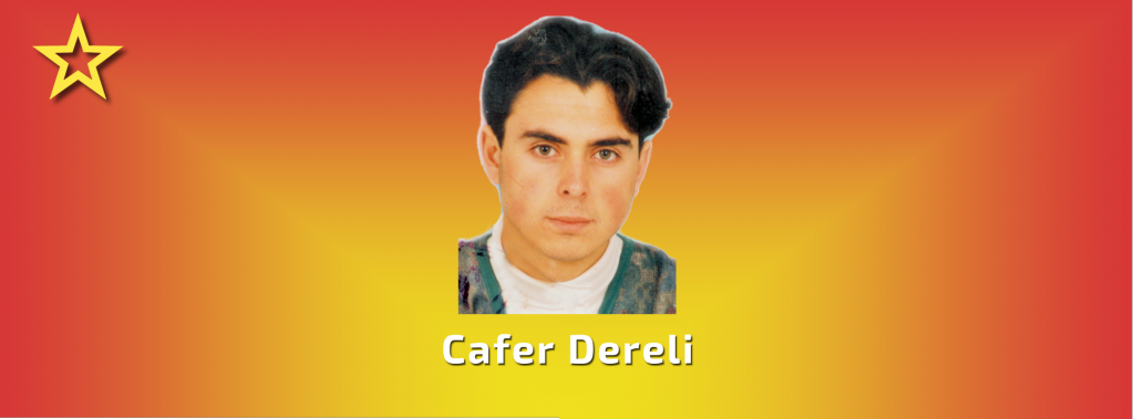 Cafer Dereli – New Solution